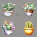 Watercolor Cactus PNG Bundle, Digital Crafts Designs Transparent ...