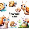 8 Watercolor Cute Snail Clipart, Summer Snail Garden Nursery,png,jpj ...