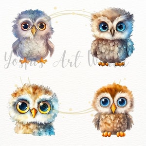 Watercolor Baby Owl PNG Bundle, Digital Crafts Designs Transparent ...