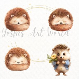 Watercolor Cute Hedgehog PNG Bundle, Digital Crafts Designs Transparent ...