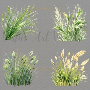 Watercolor Long Grass PNG Bundle, Digital Crafts Designs Transparent ...