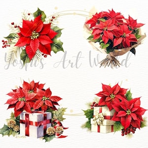 Watercolor Poinsettia PNG Bundle, Digital Crafts Designs Transparent ...