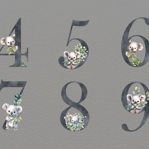 Cute Baby Koala Letters A-Z and Number, Watercolor, Alphabet Clipart ...
