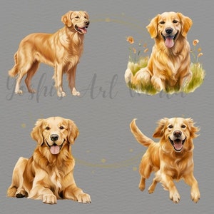 Watercolor Golden Retriever PNG Bundle, Digital Crafts Designs ...