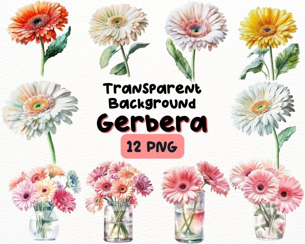 Pastel Watercolor Gerbera Daisy PNG Bundle Digital Crafts - Etsy