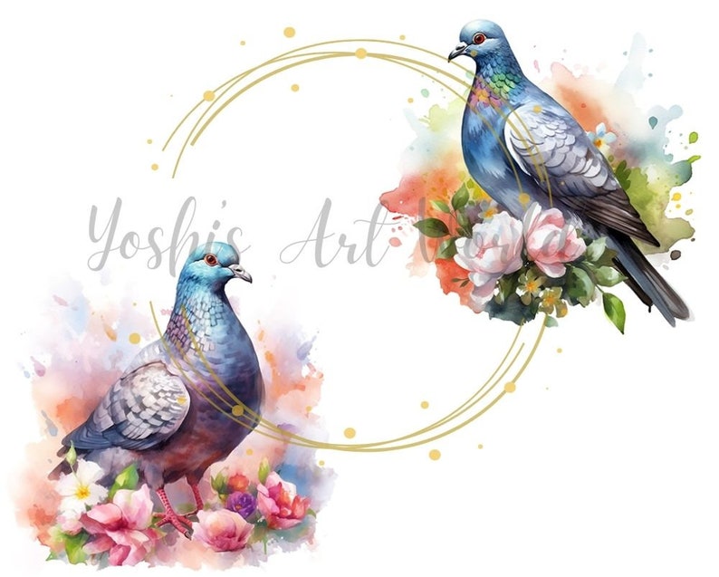 Pigeon and Flower Clipart - Floral Pigeon - Bird Clipart - Card Making ...