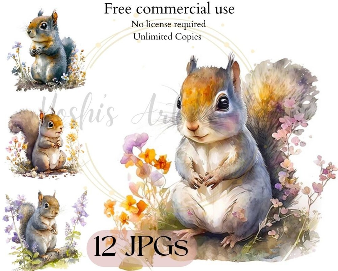 Watercolor Cute Squirrel - Squirrels - Card Making, Mixed Media ...
