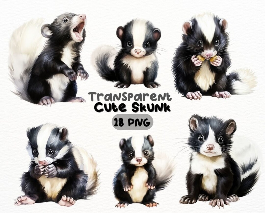 Watercolor Cute Skunk PNG Bundle, Digital Crafts Designs Transparent ...
