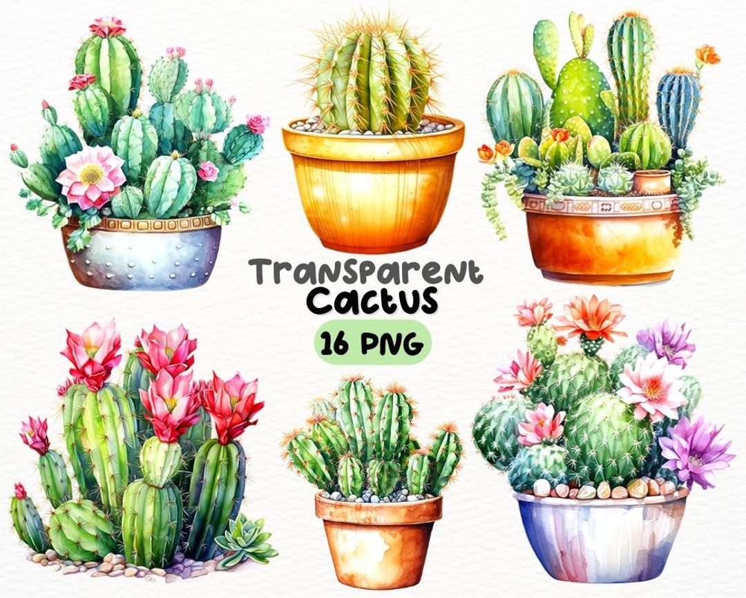 Watercolor Cactus PNG Bundle, Digital Crafts Designs Transparent ...