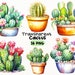 Watercolor Cactus PNG Bundle, Digital Crafts Designs Transparent ...
