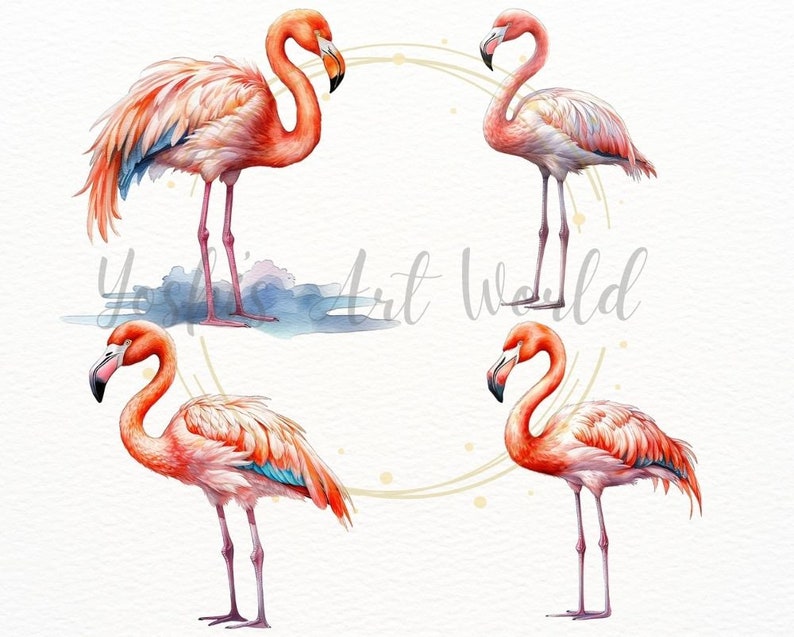 Watercolor Flamingo PNG Bundle Digital Crafts Designs - Etsy
