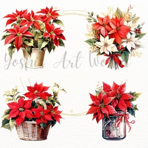 Watercolor Poinsettia PNG Bundle, Digital Crafts Designs Transparent ...