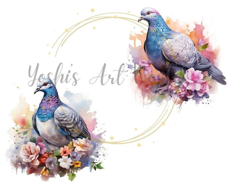 Pigeon and Flower Clipart - Floral Pigeon - Bird Clipart - Card Making ...