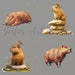Watercolor Capybara PNG Bundle, Digital Crafts Designs Transparent ...