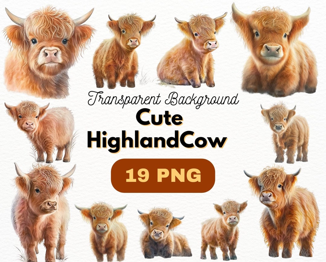 Cute Highland Cow PNG Bundle, Digital Crafts Designs Transparent, Baby ...