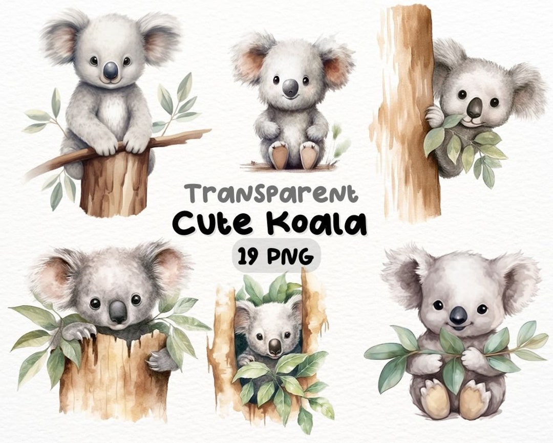 Cute Koala Watercolor PNG Bundle, Digital Crafts Designs Transparent ...