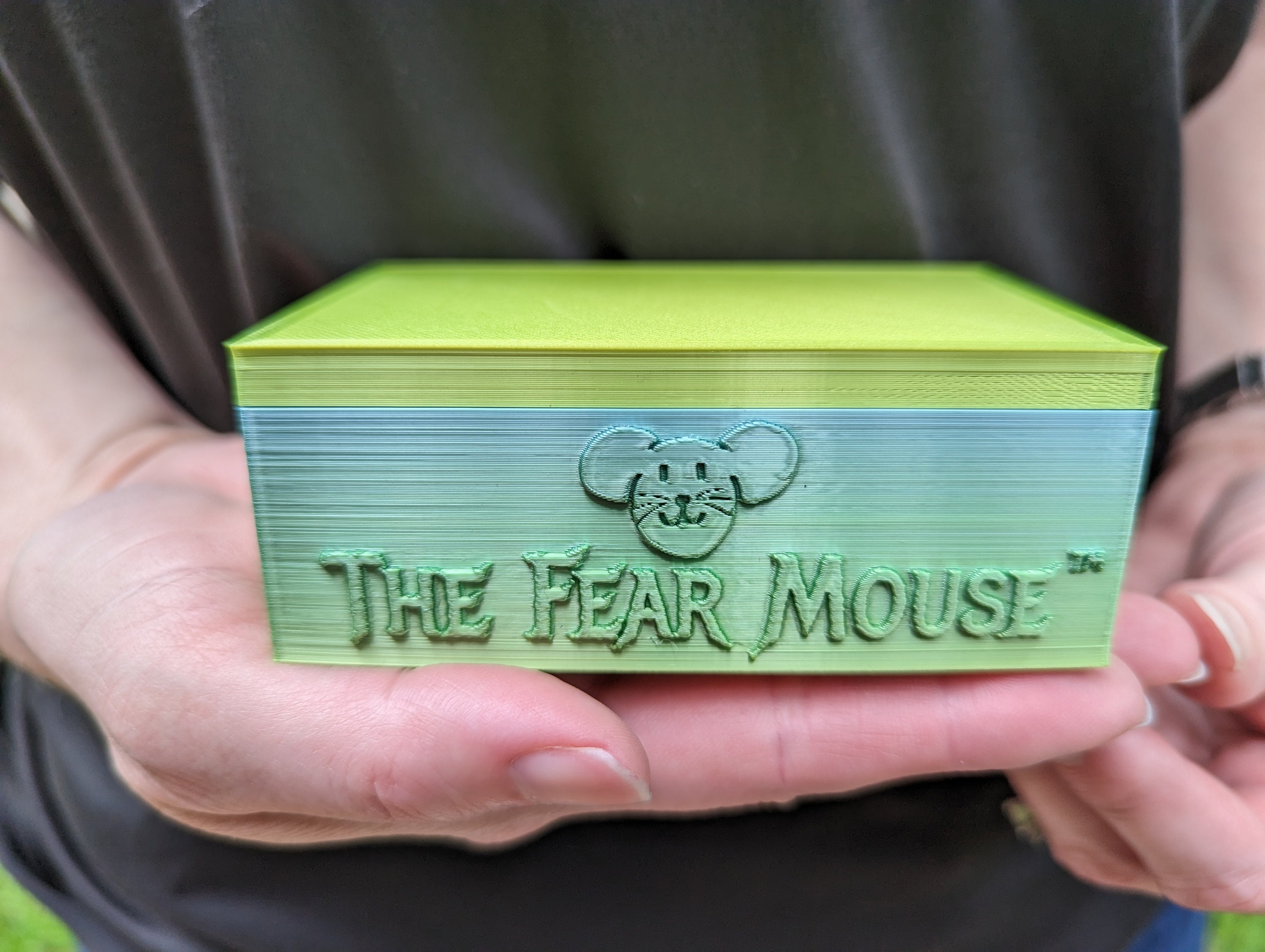 The Fear Mouse Box Put Your Fears Away. Anti-anxiety. Stress Relief ...