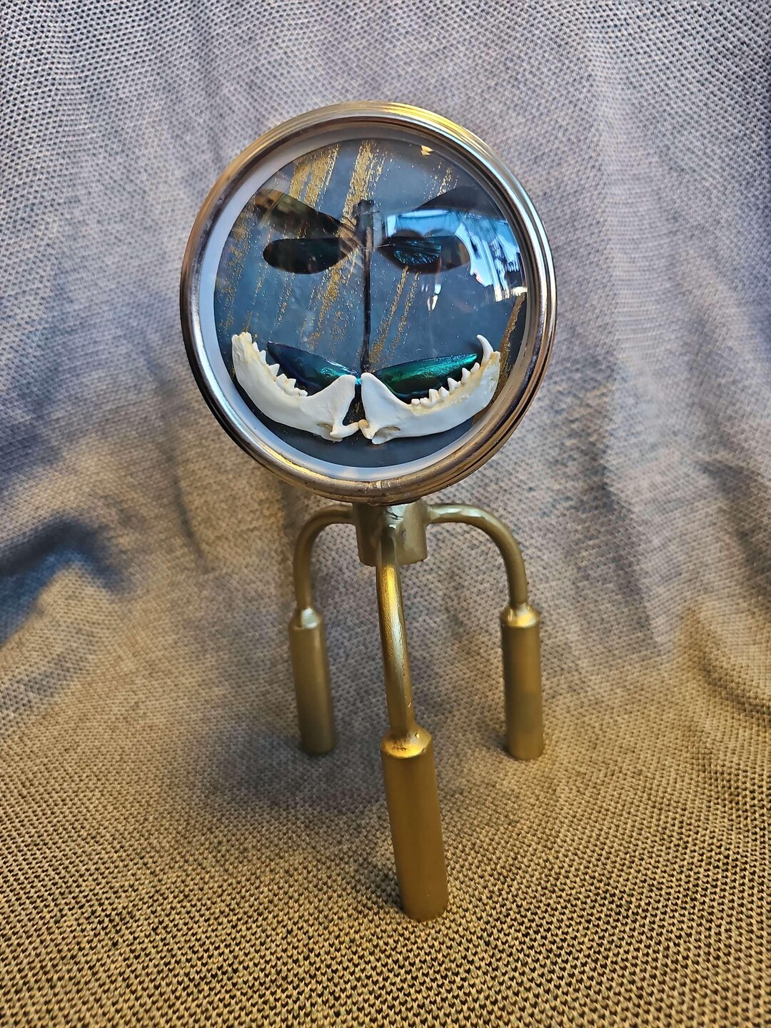 611 Dragonfly Jaws Bronze - Etsy