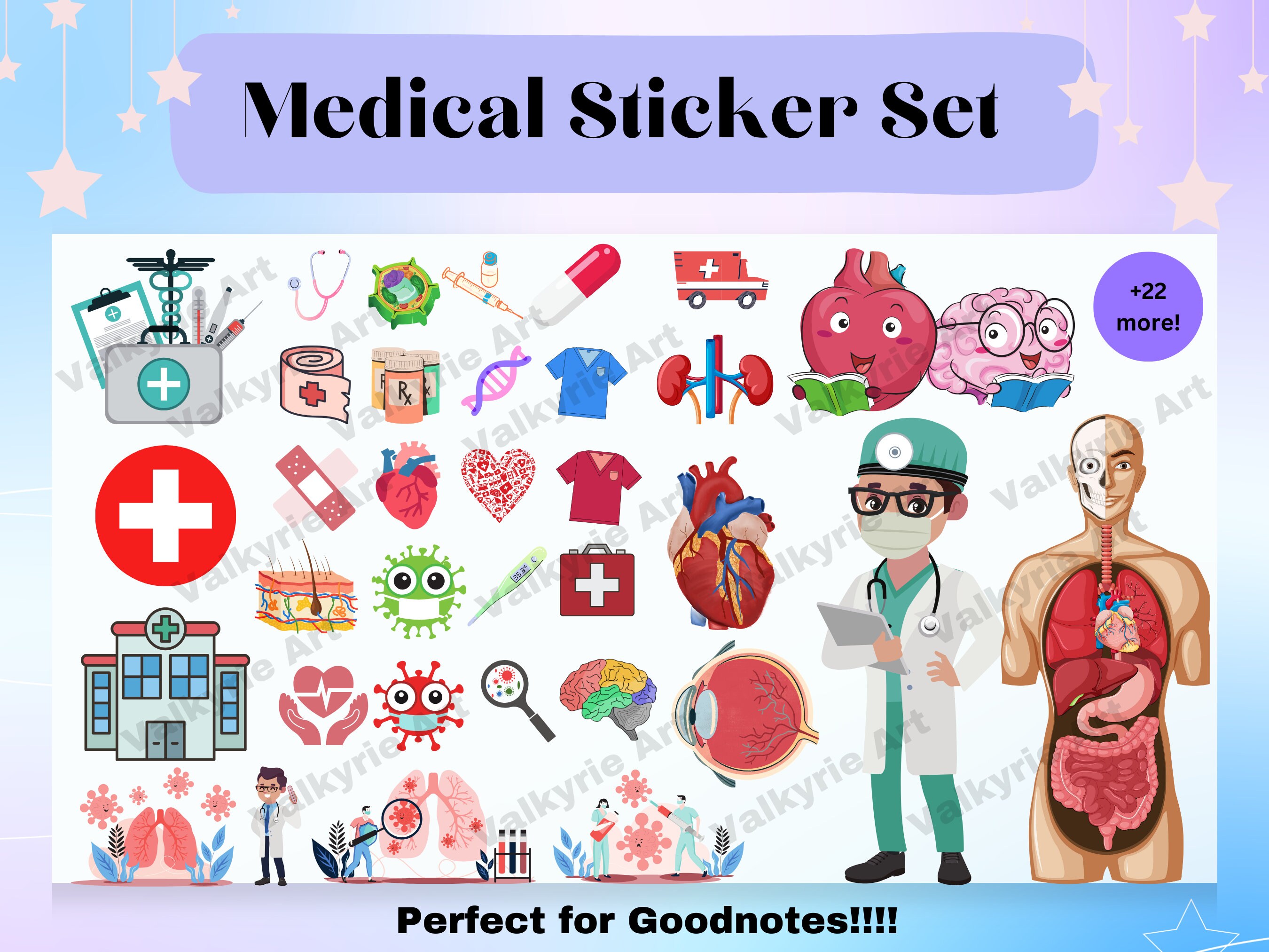 Medical Anatomy Sticker Set Perfect for Digital Studying!, Digital Art ...