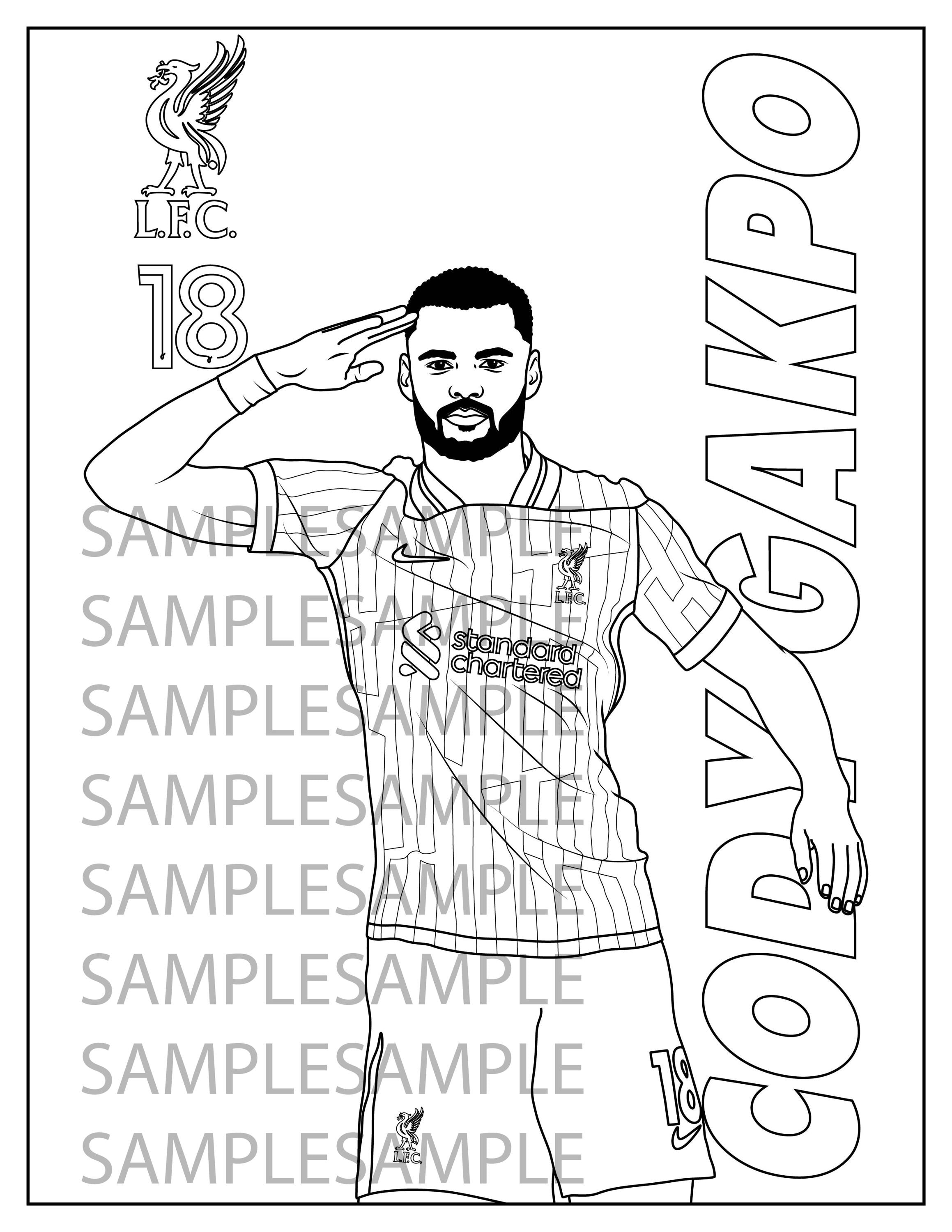 Liverpool FC Colouring Pages | Digital Download | Colouring LFC ...