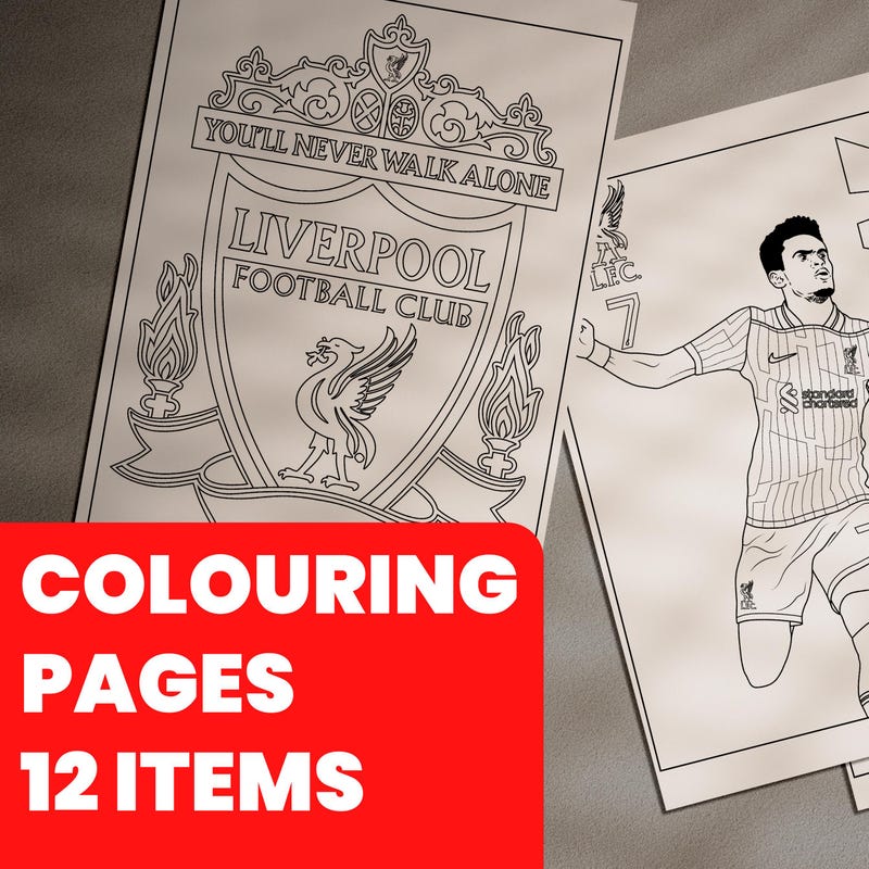 Liverpool Football Book - Etsy