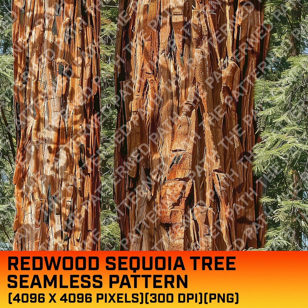 Redwood Sequoia Tree Seamless Digital Pattern, Tree Bark Texture, Wood ...
