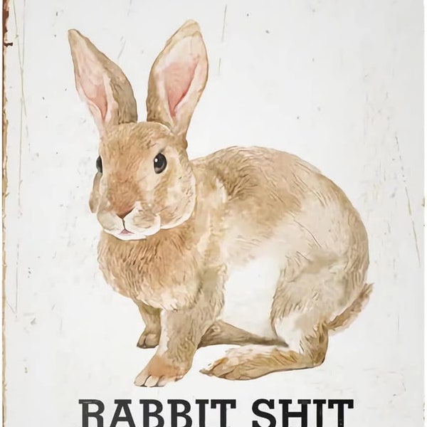 Warning Rabbit Sign - Etsy