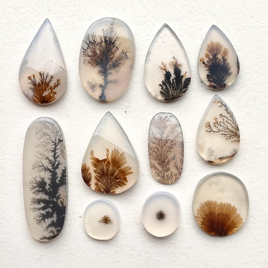 1pc 8-26mm Scenic Dendritic Agate Cabochon - Oval Round Dendrite ...