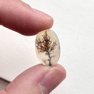 1pc 8-26mm Scenic Dendritic Agate Cabochon - Oval Round Dendrite ...