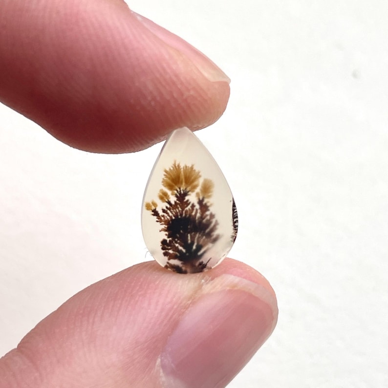 1pc 8-26mm Scenic Dendritic Agate Cabochon - Oval Round Dendrite ...