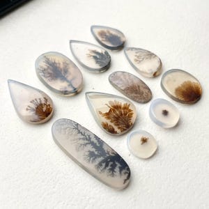 1pc 8-26mm Scenic Dendritic Agate Cabochon - Oval Round Dendrite ...