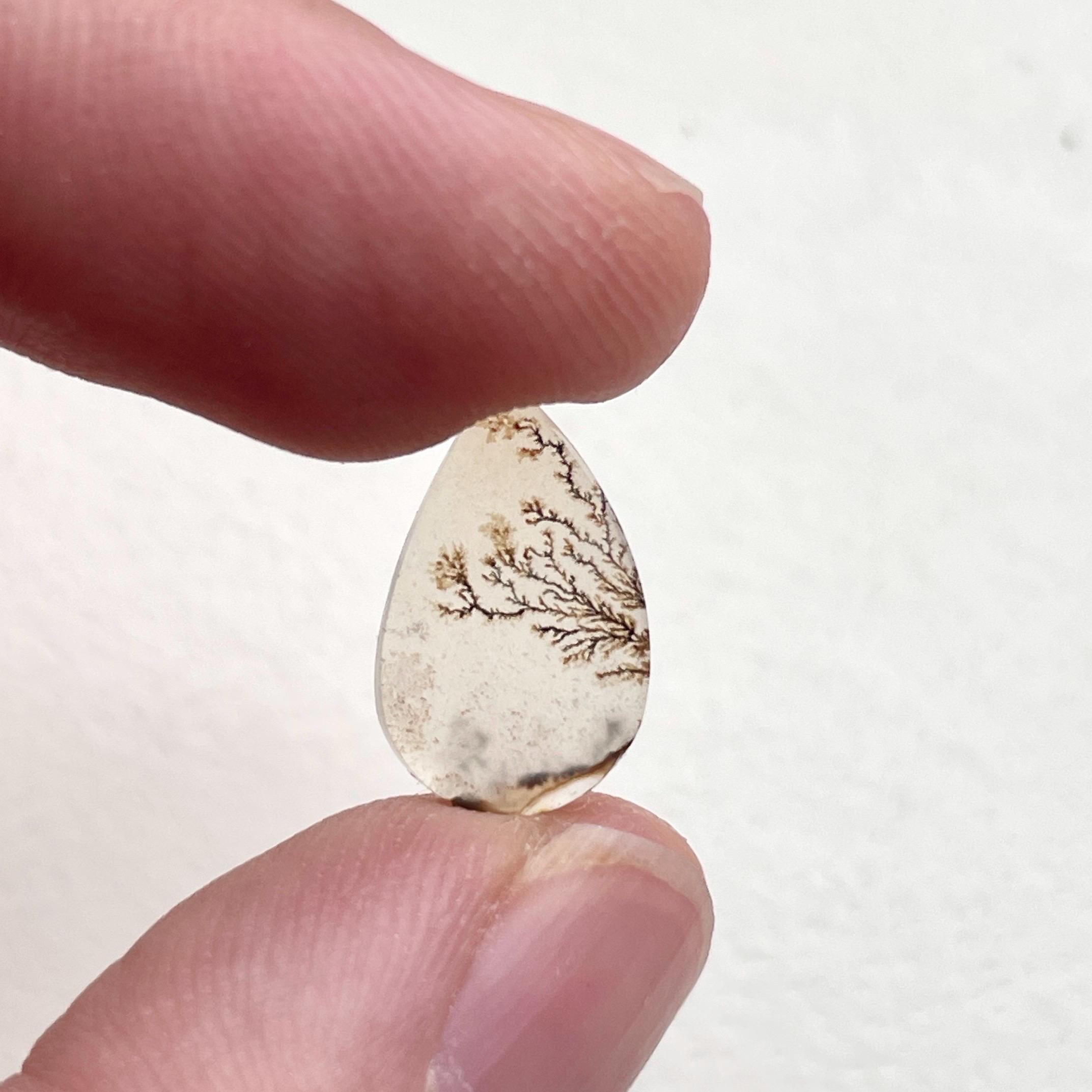1pc 8-26mm Scenic Dendritic Agate Cabochon - Oval Round Dendrite ...