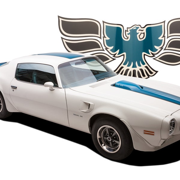 Pontiac Trans Am - Etsy