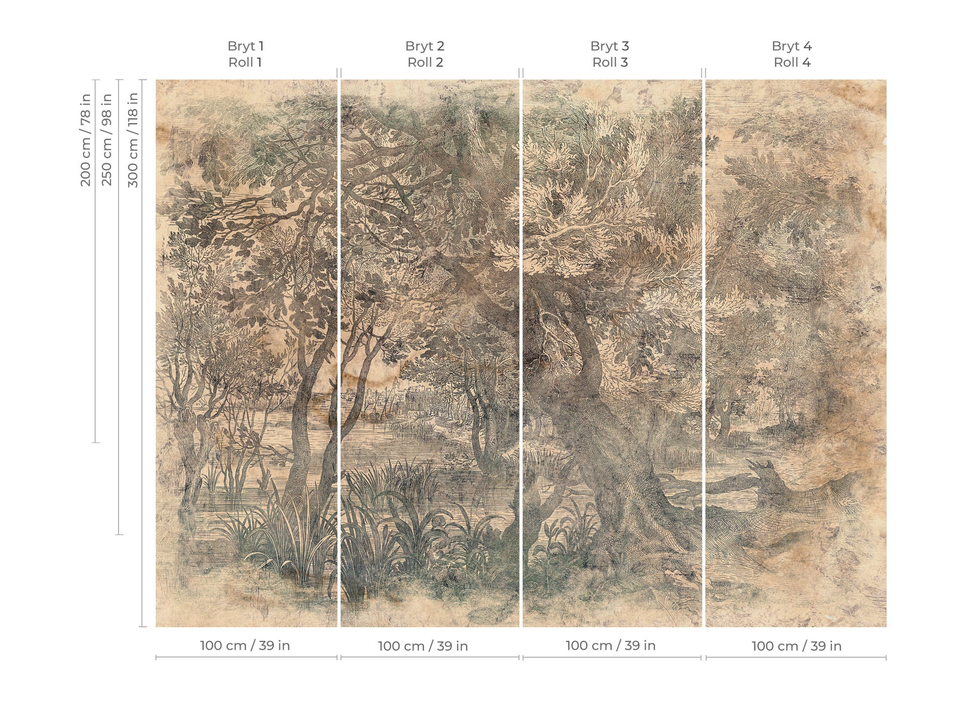 ELAV / Forest Wallpaper, Botanical Wall Mural, Landscape Scenery ...
