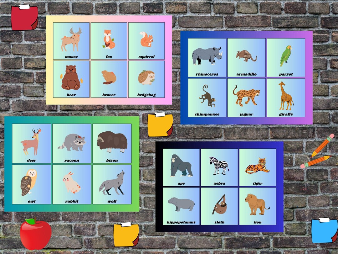Alphabet Animal Flash Cards Preschool Kindergarten - Etsy