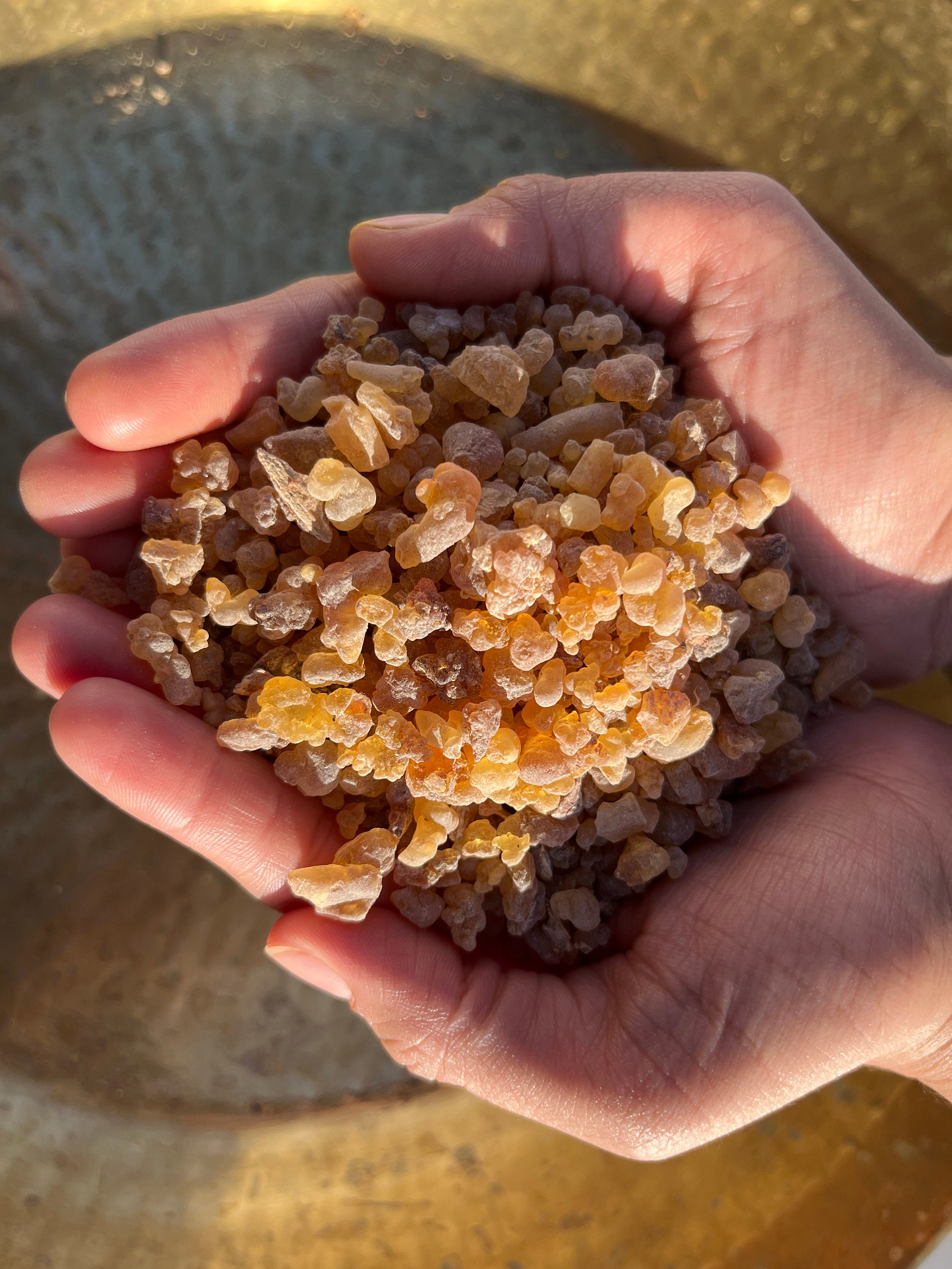 Ethiopian Frankincense 360 Gms Michelia Champaka Biochar Incense 50 Gms ...