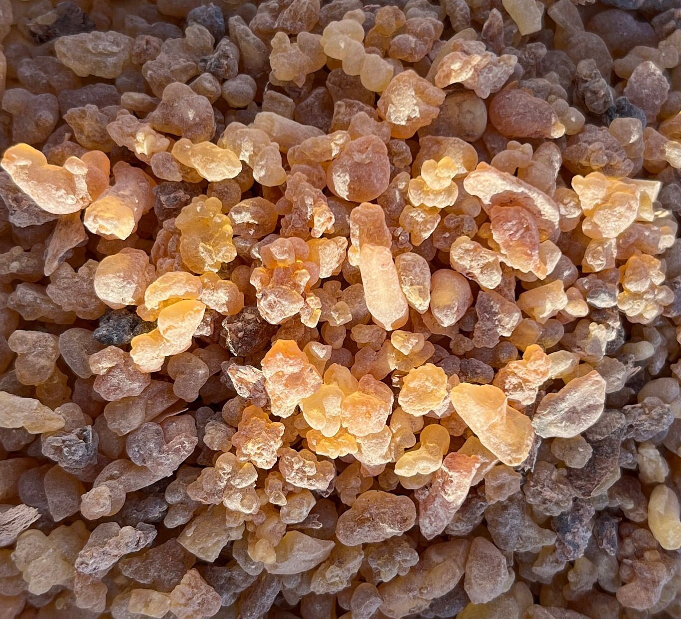Ethiopian Frankincense 360 Gms Michelia Champaka Biochar Incense 50 Gms ...