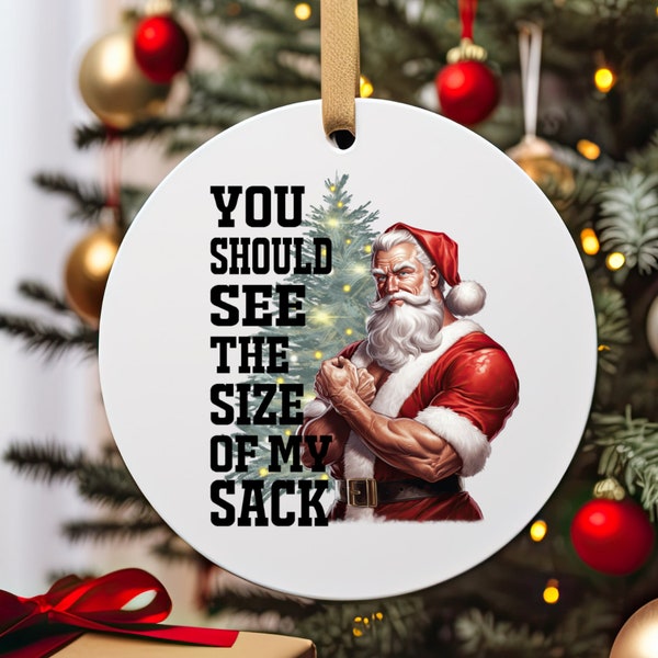 Funny Christmas Decorations - Etsy