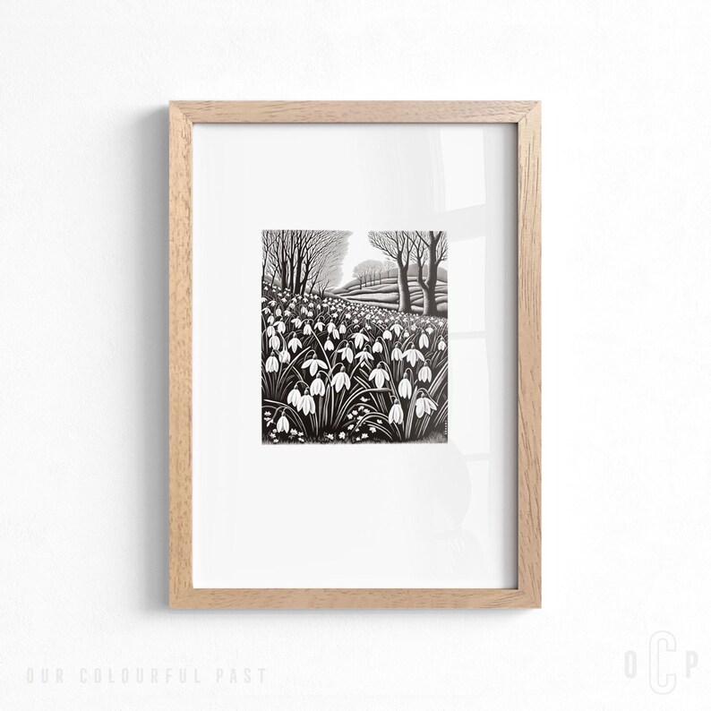 Woodland Snowdrops Wild Flower Print: A4 Woodcut Style English Country ...