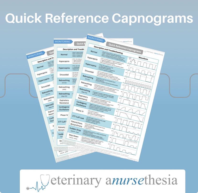 Quick Reference ECG and Capnogram Bundle - Veterinary Anursethesia - Etsy