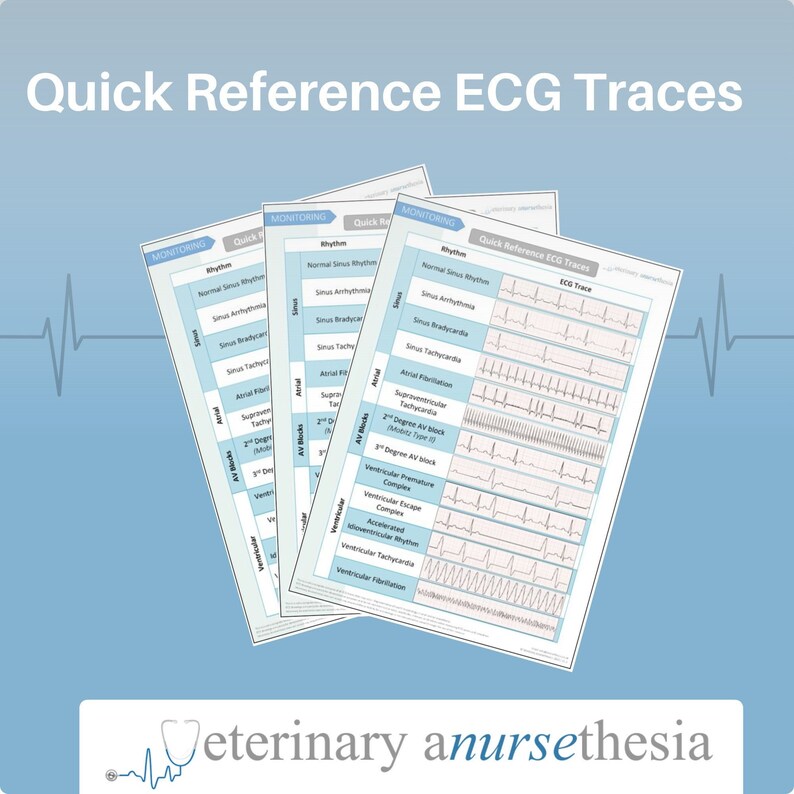 Quick Reference ECG Traces Veterinary Anursethesia - Etsy