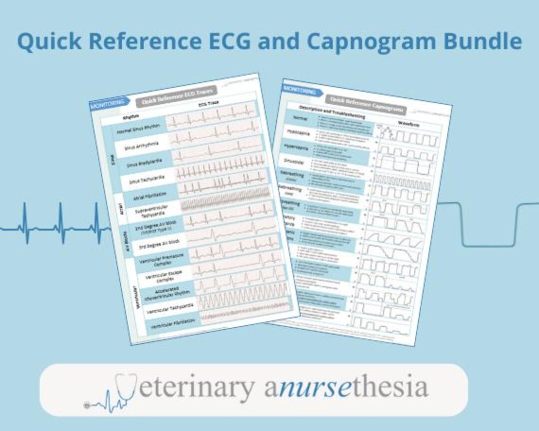 Quick Reference ECG and Capnogram Bundle - Veterinary Anursethesia - Etsy