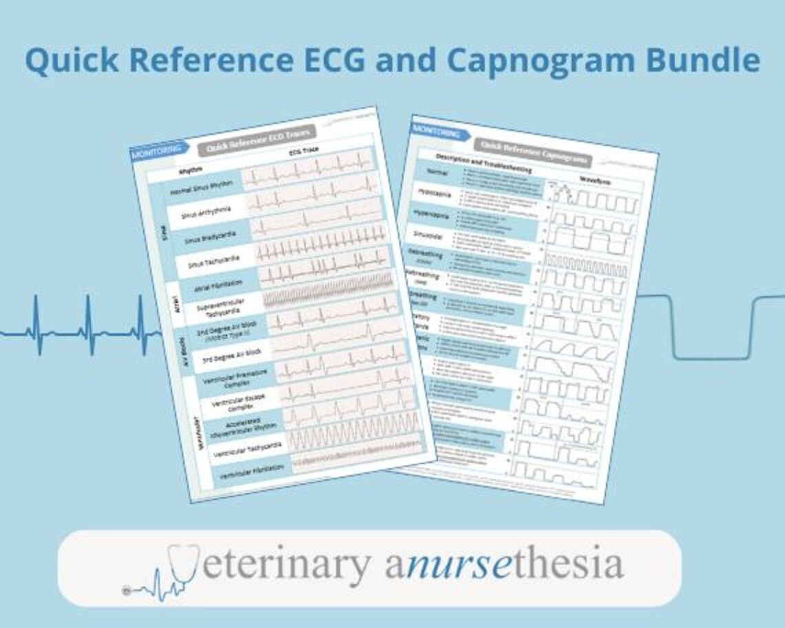 Quick Reference ECG and Capnogram Bundle - Veterinary Anursethesia - Etsy