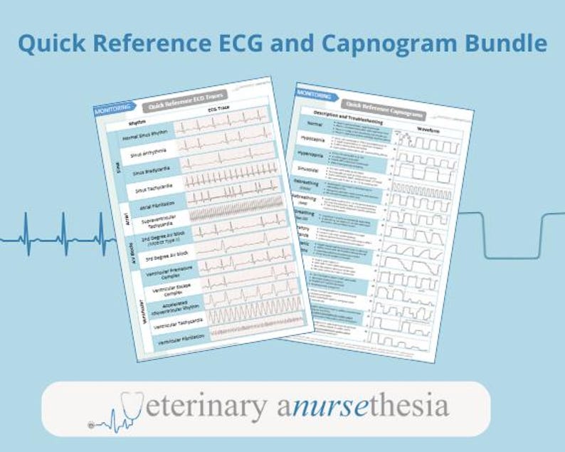 Quick Reference ECG and Capnogram Bundle - Veterinary Anursethesia - Etsy