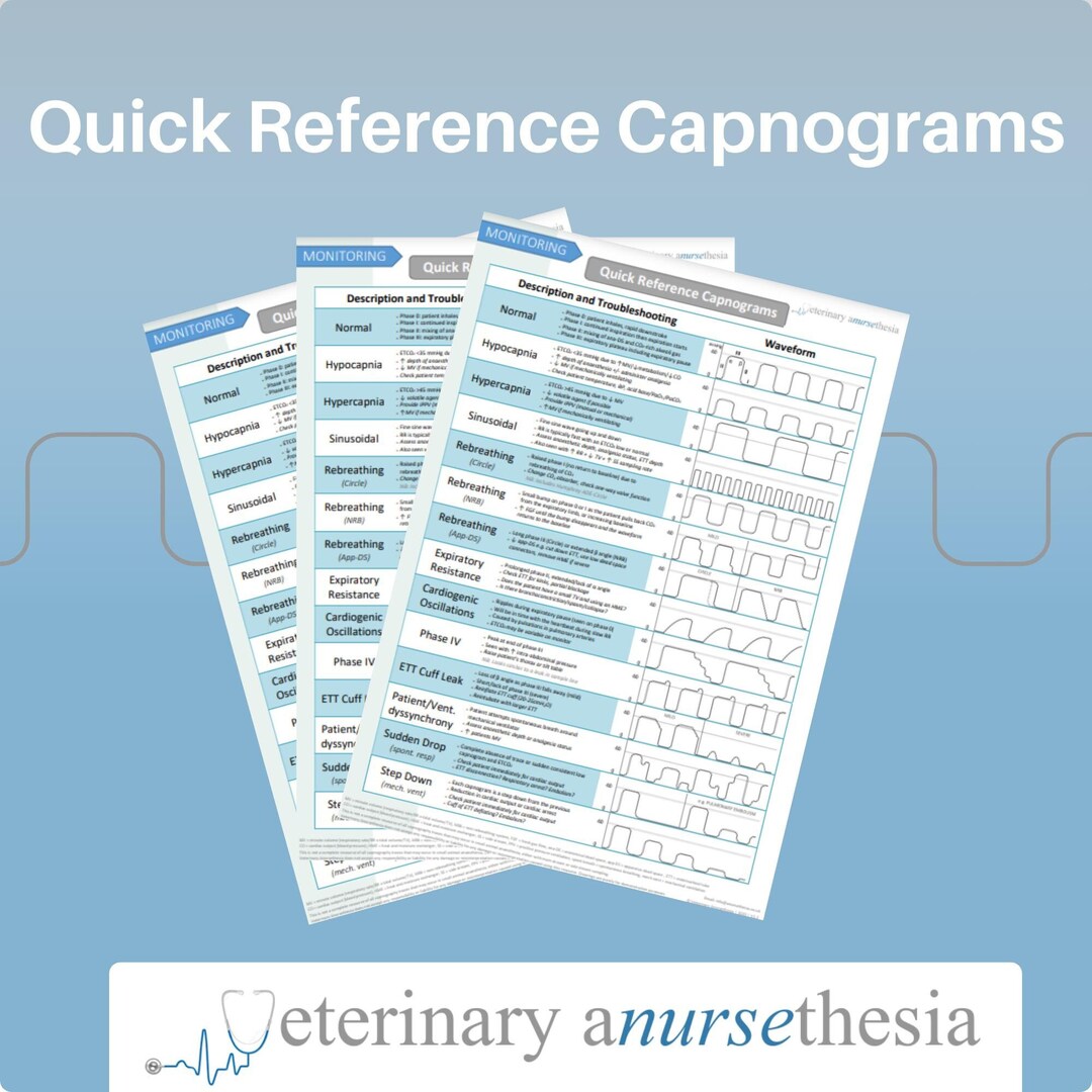Quick Reference Capnograms - Veterinary Anursethesia - Etsy