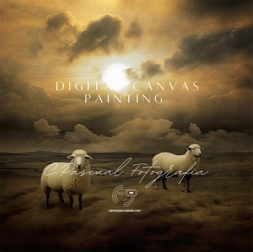 Scenic Sheep Photography Backdrop for Pictures Rural - Etsy