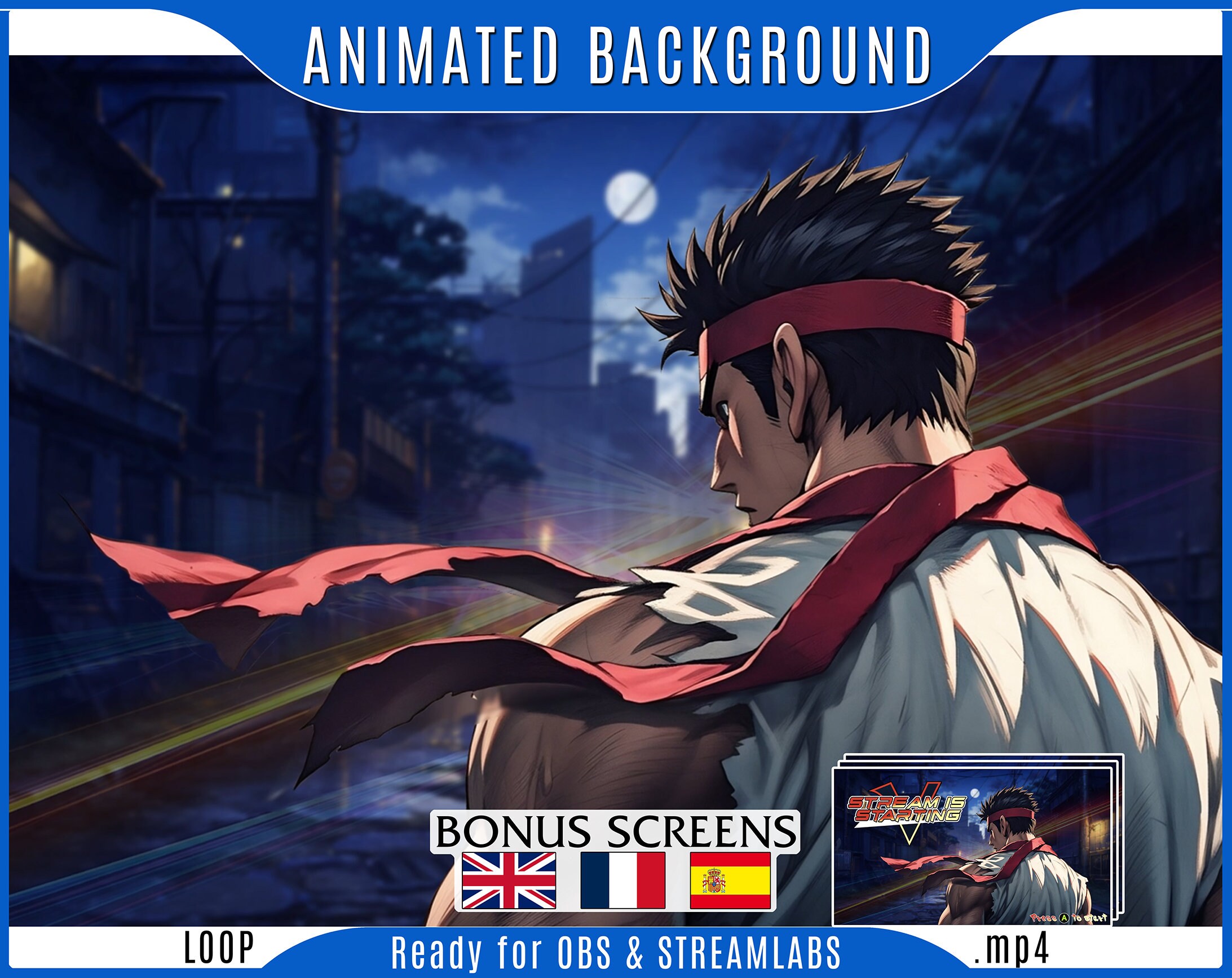 Starting Screen Street Fighter RYU Animated Screens for - Etsy