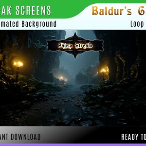 Be Right Back Screen From Baldur's Gate Animated Twitch - Etsy