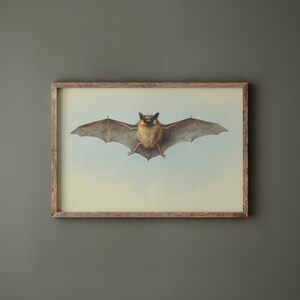 Vintage Bat Print, Gothic Vampire Wall Art, Dark Academia Decor ...