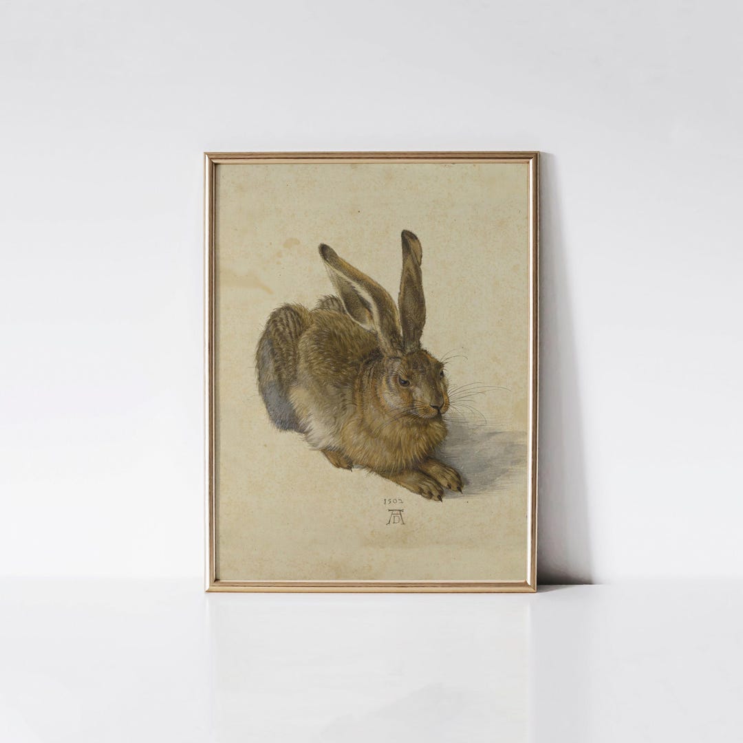 Hare, Albrecht Dürer Print, Woodland Wildlife Art, Forest Animal Wall ...